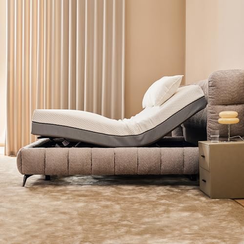 HAUSHECK Queen Size Adjustable Bed Base with Zero Gravity, Head and Foot Incline, Wireless Remote, Quiet Motors, 750lbs Weight Capacity, Ergonomic Bed Frame for Anti-Snore, Stress Management