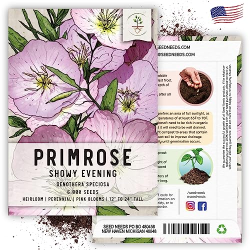Seed Needs, Showy Evening Primrose Seeds - 6,000 Seeds for Planting Oenothera speciosa - Pink Blooms, Attracts Butterflies/Pollinators (2 Packs)