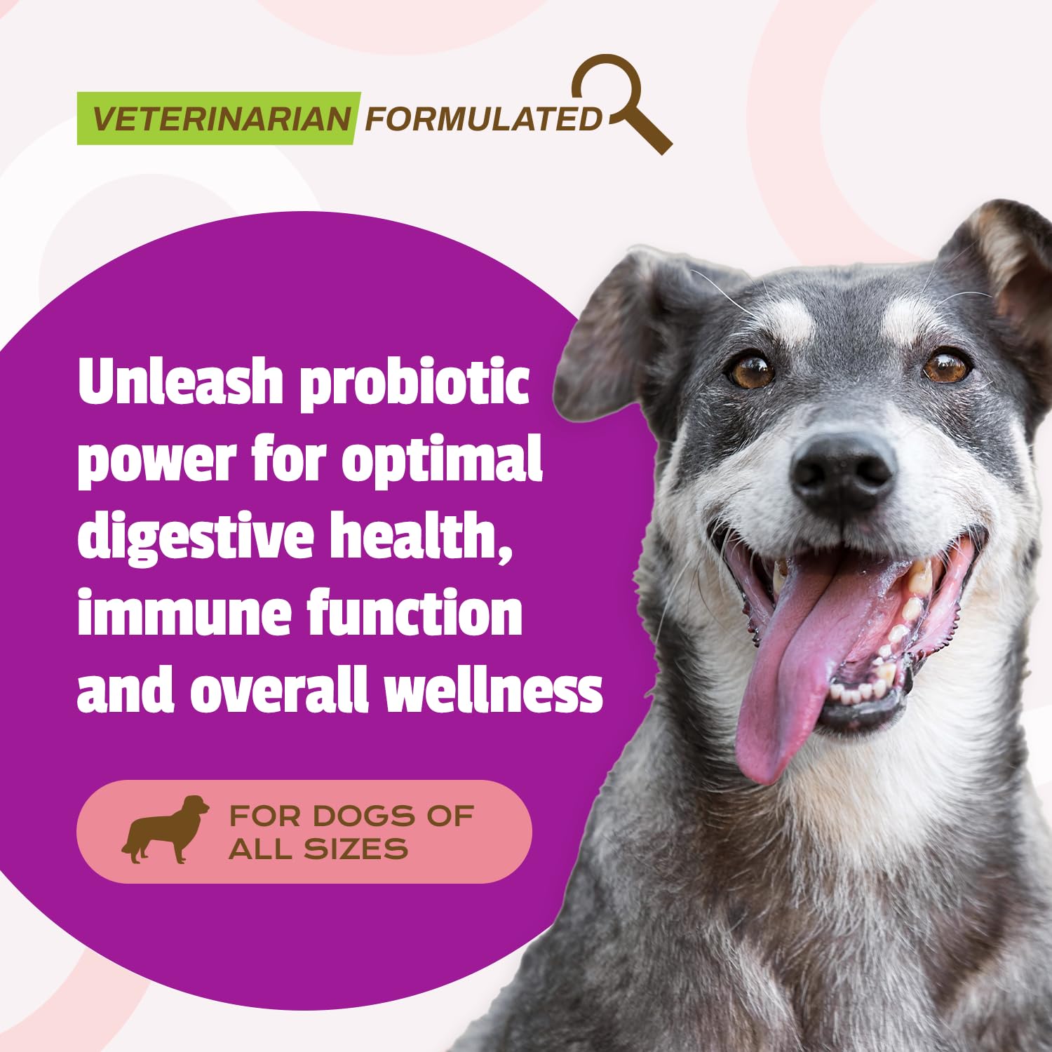Pet Naturals 120M CFUs Probiotics for Dogs, 60 Chews & Nutri-Vet Eye Rinse for Dogs, 4 oz - Digestive & Eye Health