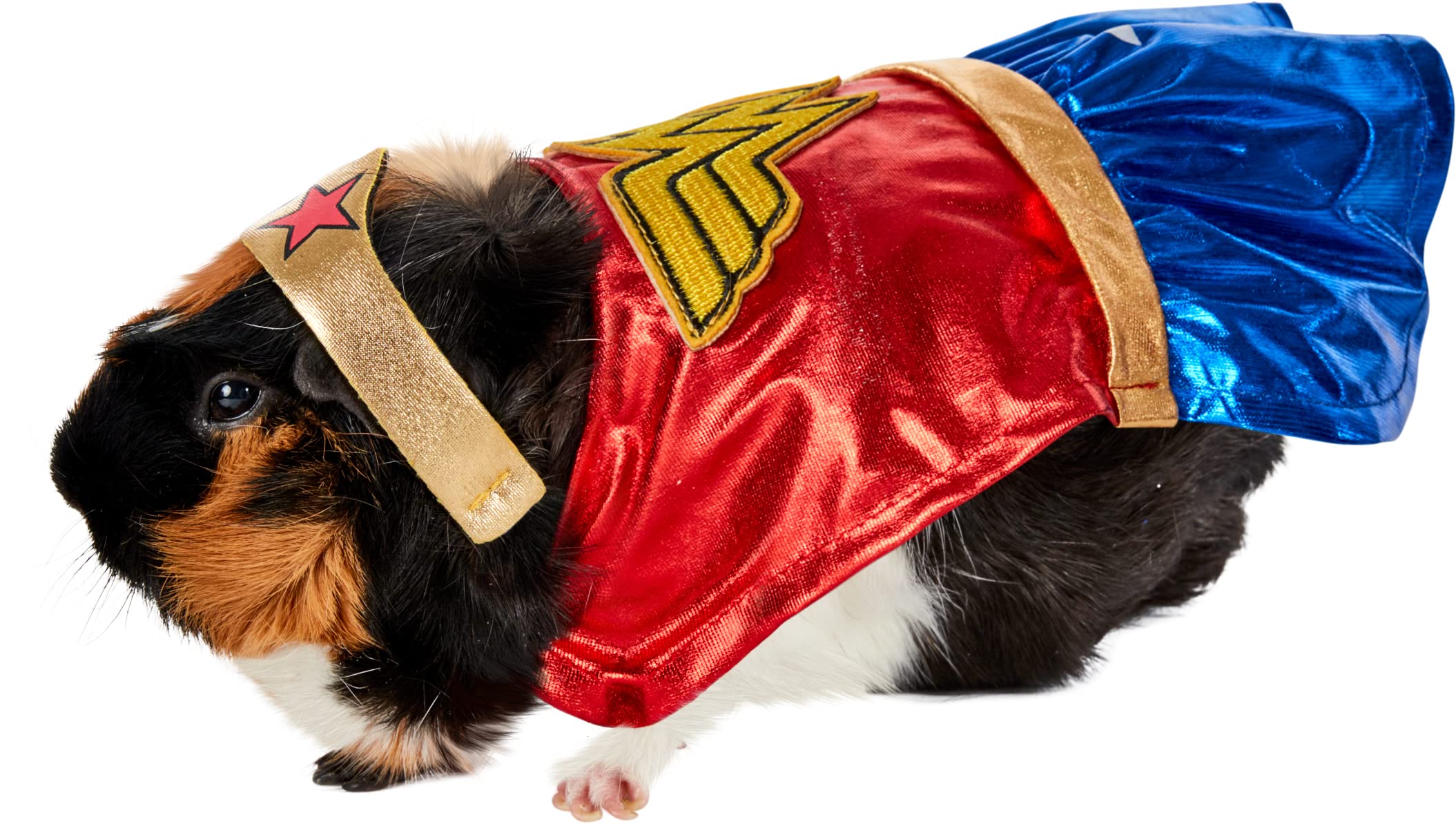 Rubie's DC Comics Wonder Woman Small Pet Costume, As Shown, Extra-Small