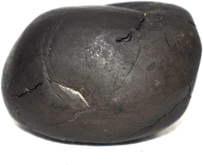 Shaligram Laxmi Narayan Shaligram Rudraksha Guru Narsihma Shaligram Kurma Shaligram
