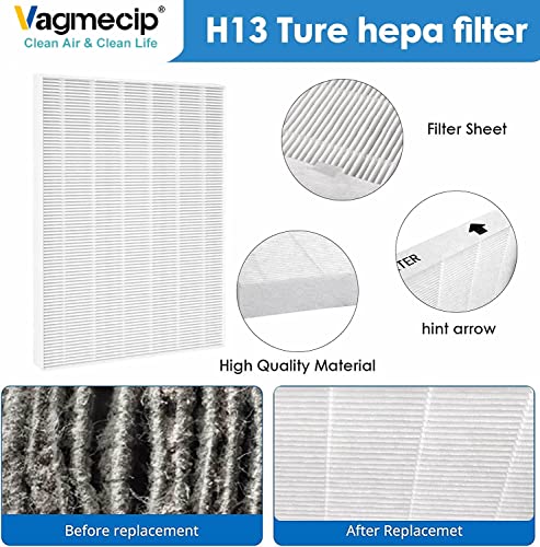 Vagmecip 115115 Size 21 Replacement Filter A Compatible with Winix C535, Winix PlasmaWave 5300, 6300, 5300-2, 6300-2, P300 Plasma wave Air Purifier, True HEPA Filter - 3 Pack