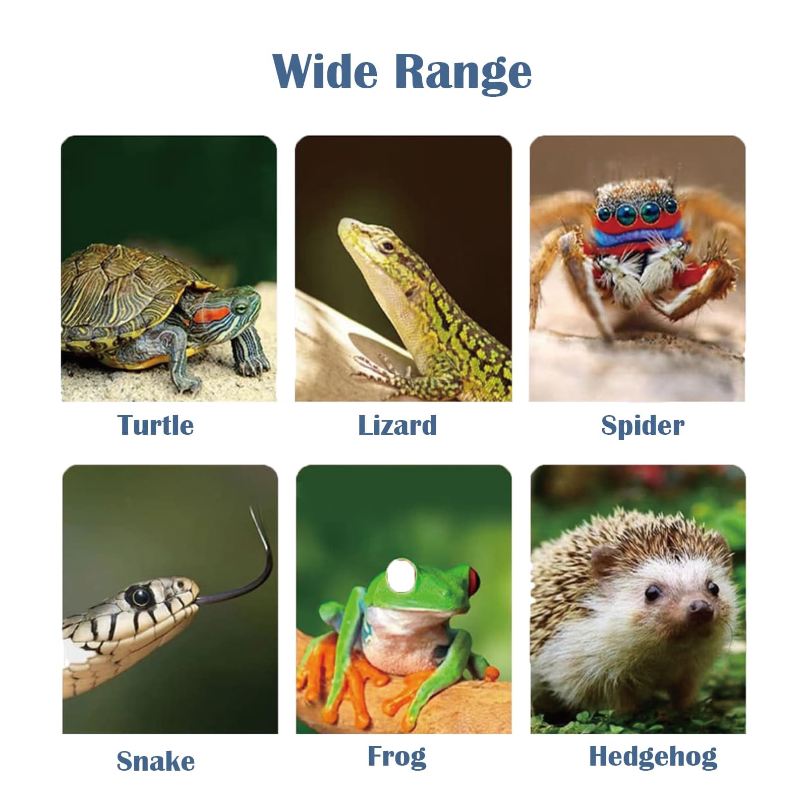 Heat lamp for reptiles,UVA UVB Turtle Heating Lamp with Two Heat Bulbs, Turtle Basking Light with 360° Rotatable Hose & Clamp & Adjustable Switch for Bearded Dragon Reptiles Turtle Lizard Snake
