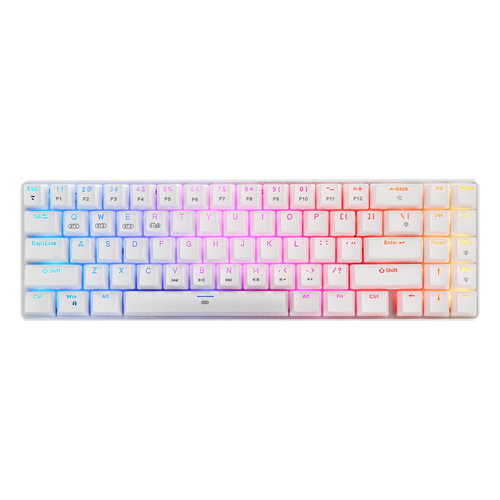 HUO JI 60% Compact RGB Wireless Mechanical Gaming Keyboard, Red Switches, Bluetooth 5.0, Wired Keyboard 71 Keys for PC Tablet Laptop Cell Phone, White