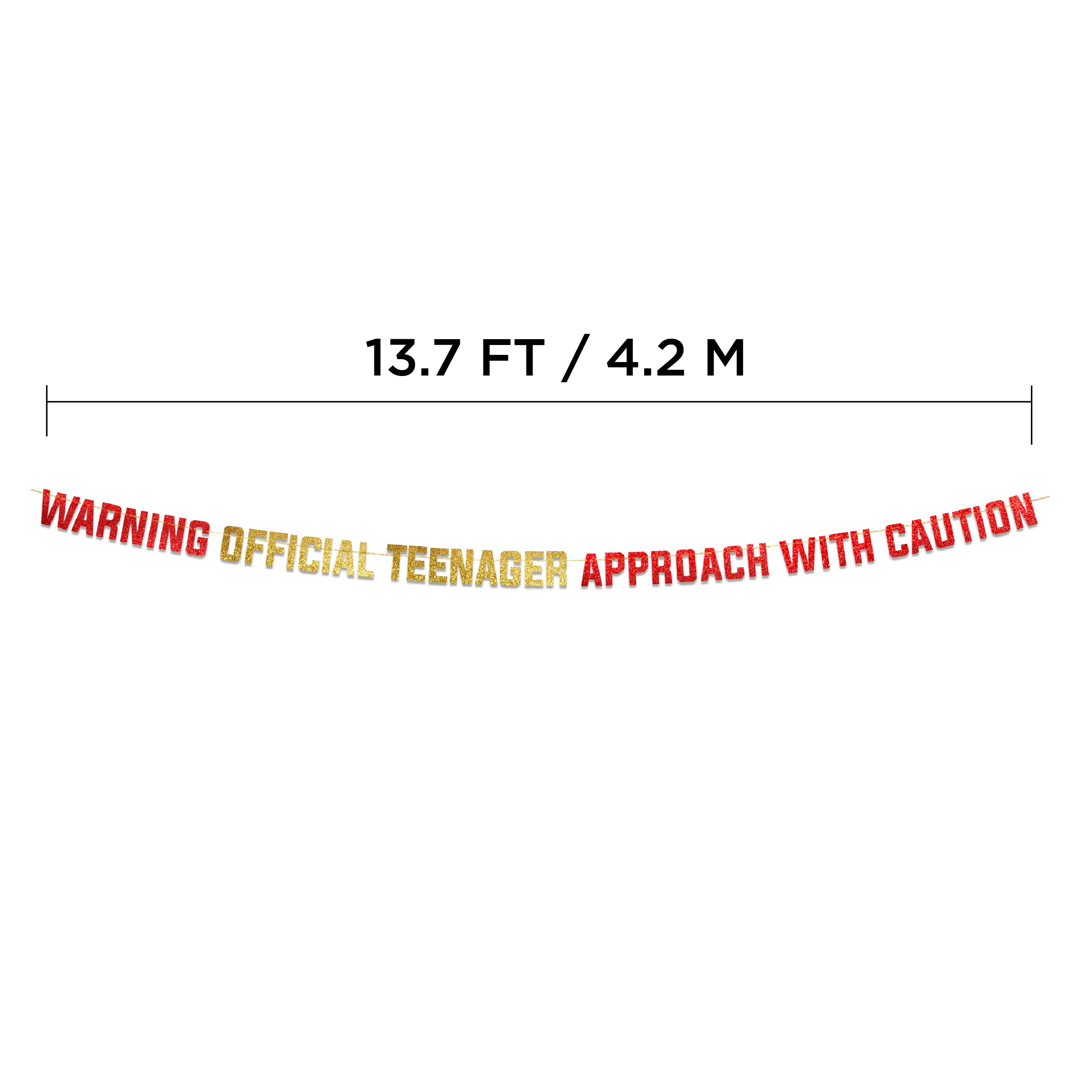 Warning Official Teenager Approach With Caution Gold Glitter Banner - 13th Birthday Party Supplies, Ideas, Gifts and Decorations