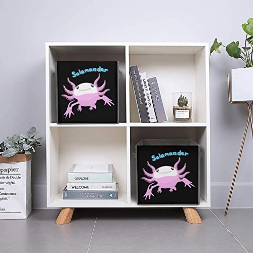 Salamander Axolotl Storage Bin Foldable Cube Closet Organizer Square Baskets Box with Dual Handles