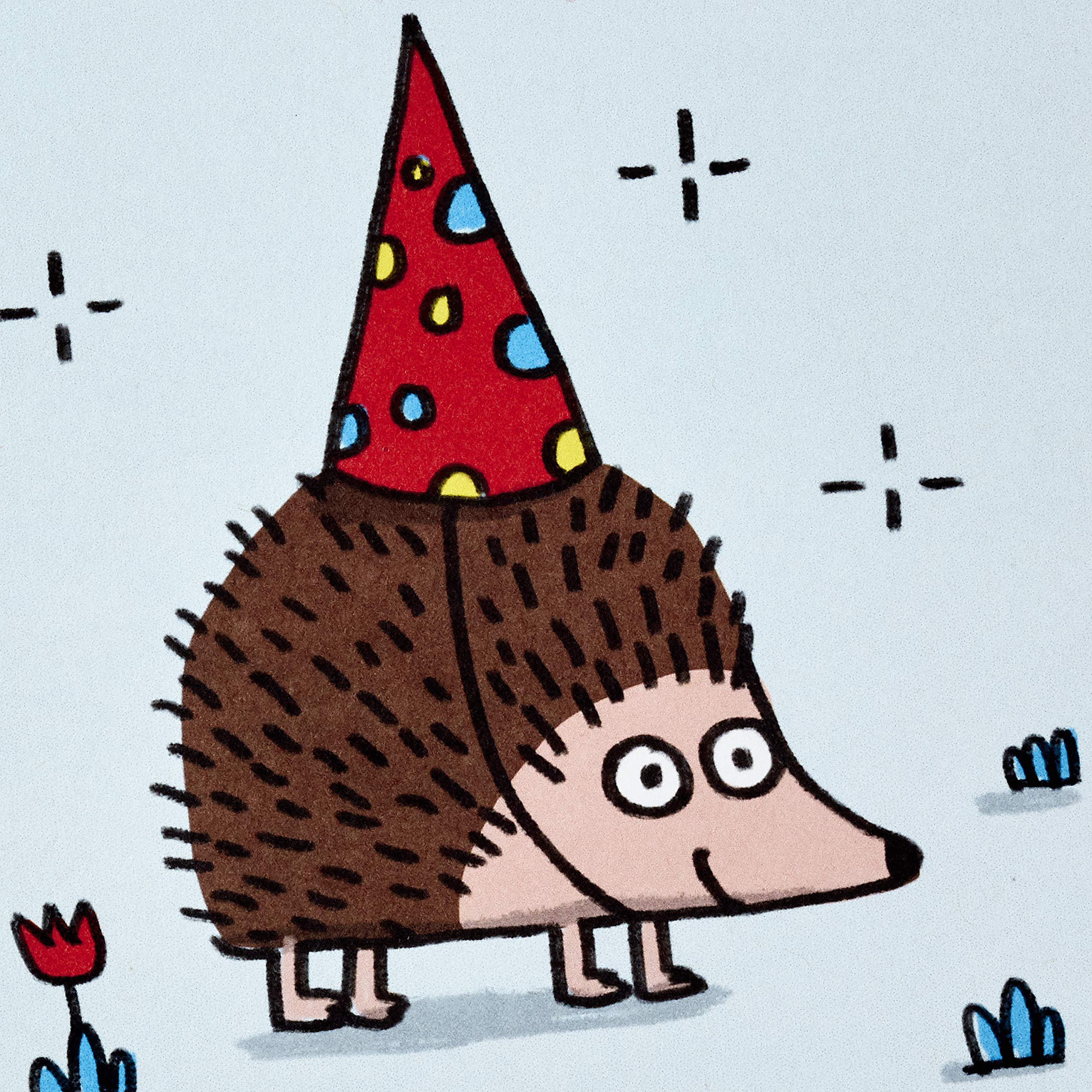 Hallmark Shoebox Funny Birthday Card (Cats Don't Care That It's Your Birthday)