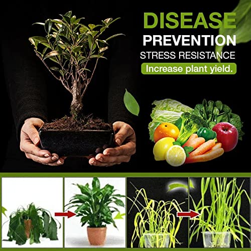 XIRUJNFD Soil Activated Treasure-You Will Be Amazed! Indoor Plant Fertilizer, Soil Activated Treasure, Fertilizer for Plants Flower Lawn, Improve Plant Growth (100g,1Pcs)