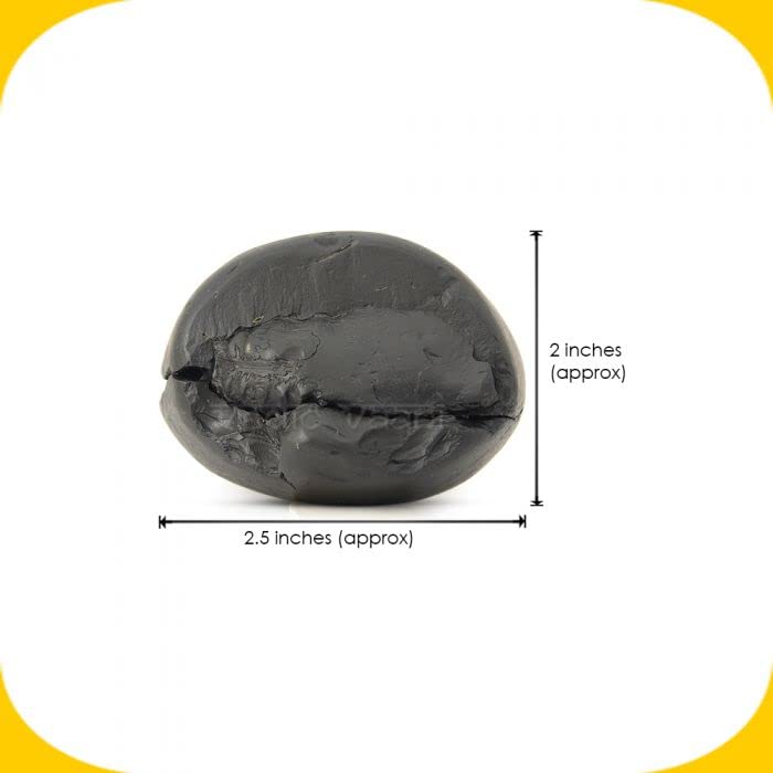 Vedic Vaani Garuda Vishnu Shaligram Shila (Pack of 4)