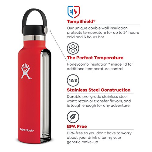 Hydro Flask 21 oz. Water Bottle - Stainless Steel, Reusable, Vacuum Insulated with Standard Mouth with Sport Cap , Carnation