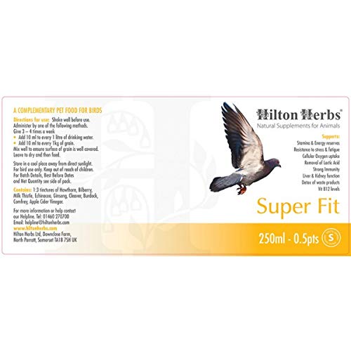 Hilton Herbs 27002 Super Fit-Natural Energy For Racing Pigeons Bottle, 0.5 Pint