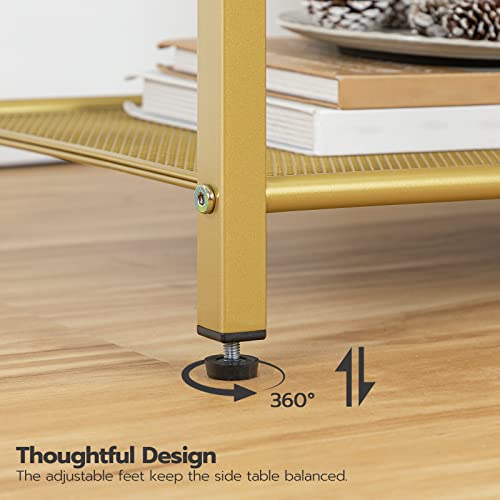 HOOBRO Set of 2 Side Tables, 2-Tier End Table, Nightstands for Tight Spaces, Tempered Glass Bedside Tables, Modern Metal Frame, for Office, Bedroom, Living Room, Study, Gold GD76BZP201