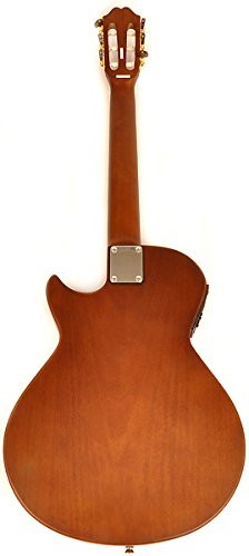 Hadean EA-100 CSB Semi Hollow Body Guitar