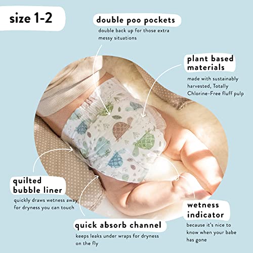 The Honest Company Diaper Cake | Clean Conscious Diapers, Baby Personal Care, Plant-Based Wipes | Pattern Play | Regular, Size 1 (8-14 lbs), 35 Count