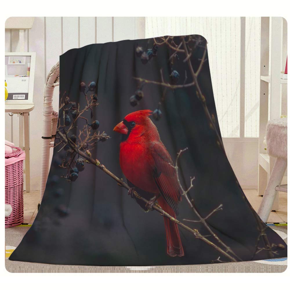 HGOD DESIGNS Red Bird Throw Blanket,Northern Cardinal Bird On The Tree Branch Soft Warm Decorative Throw Blanket for Bed Chair Couch Sofa 30"X40"