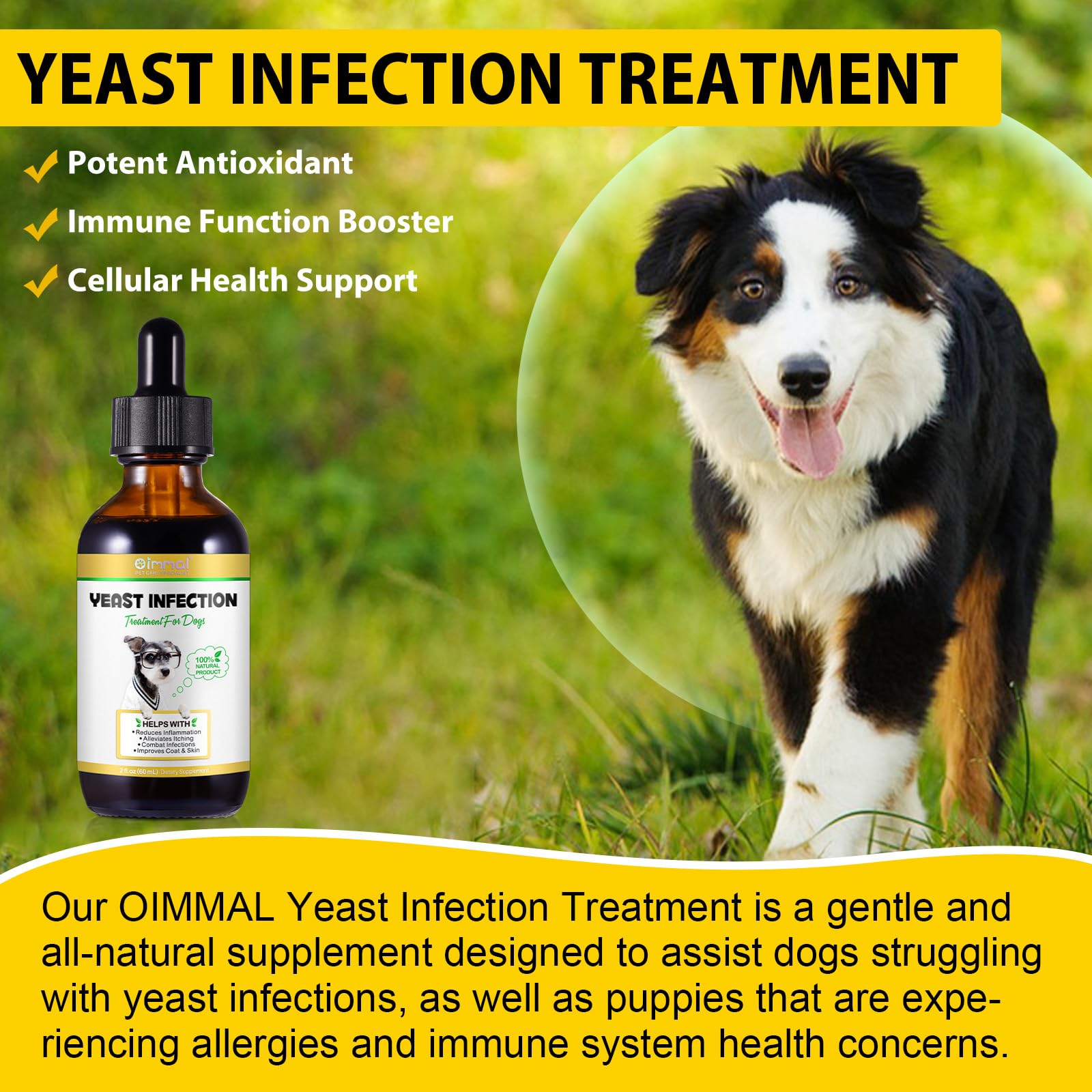 Yeast Infection Treatment for Dogs, Dog Ear Infection Treatment Supports Healthy Itch Relief, Inflammation Relief, Allergy Relief & More 2 oz