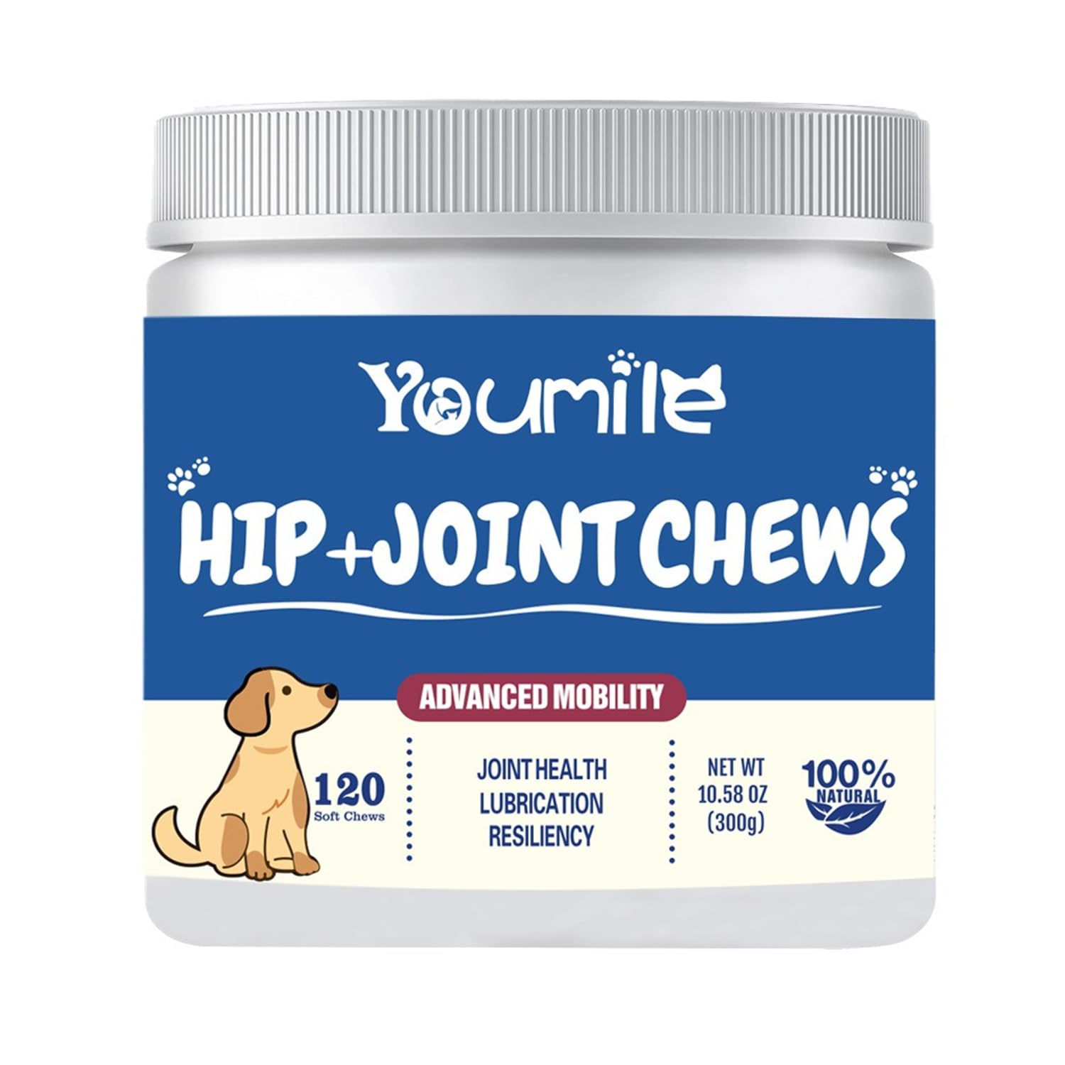 SMASUPT Pets Hip + Joint Chews for Dogs Advanced Dog Joint Supplement Healthy Mobility Treats 120 Count