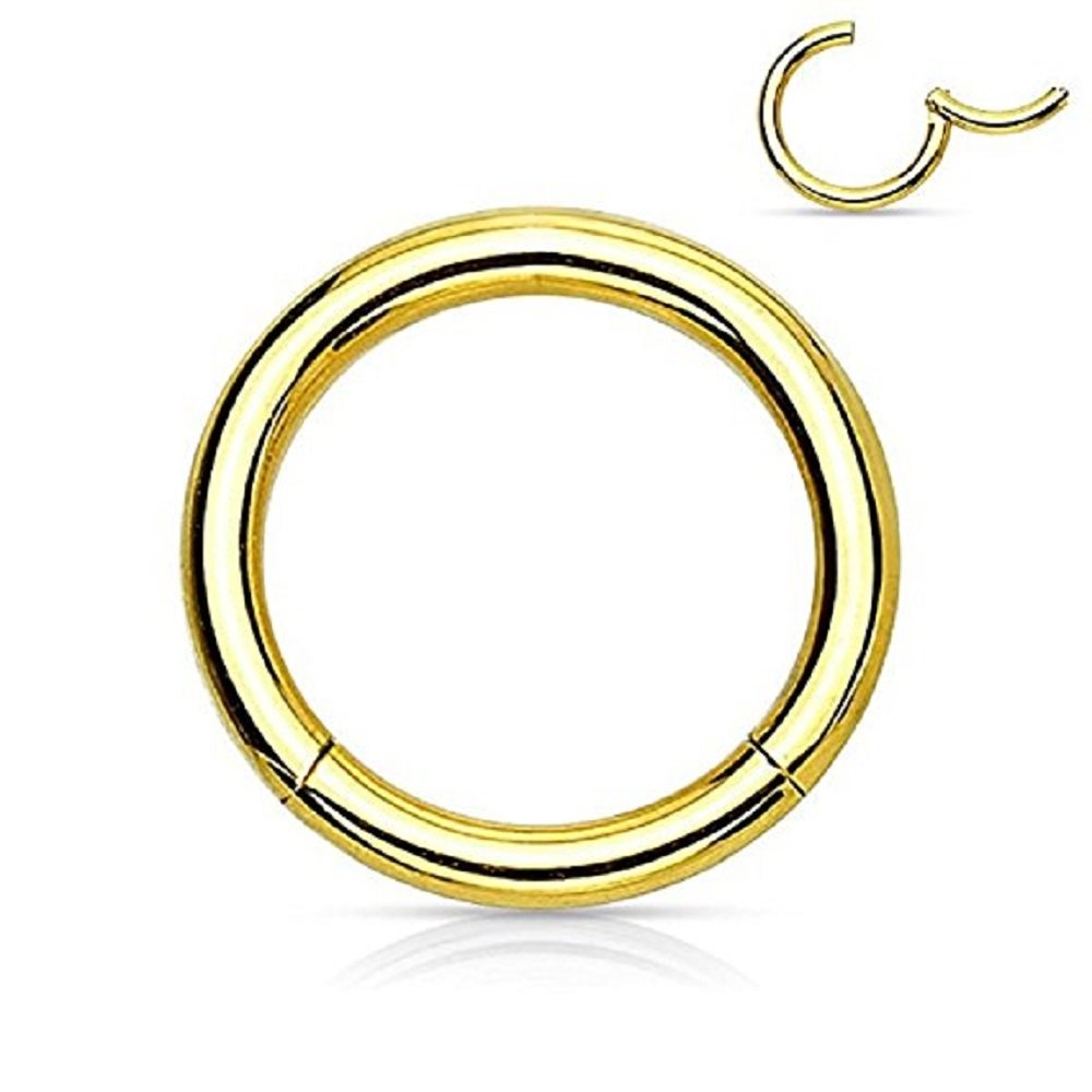 Hinged Seamless WildKlass Septum Clicker Ring 316L Surgical Steel (Sold Individually) (10g 12mm Gold)