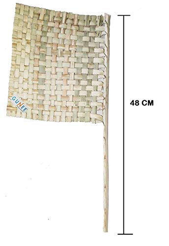 GUNEE Antique Handcrafted Rare Natural Hand Fan