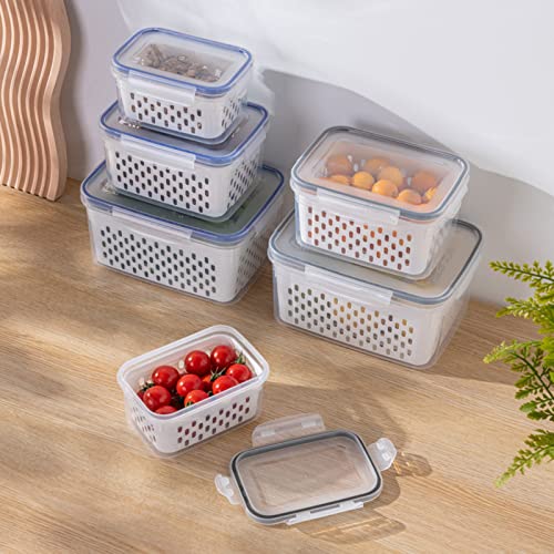 Yiser Double Layer Draining Basket Fresh Keeping Box Kitchen Supplies Sealed Box Plastic Fresh Keeping Box Refrigerator Fruit Storage Sticky Rice Basket (A, One Size)