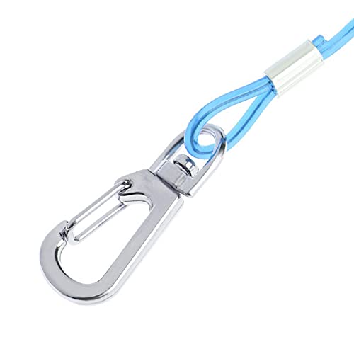 Wishlotus Parrot Flying Rope, 5 Meters Parrot Foot Chain Flying Training Leash Outdoor,Anti-Bite Elastic String Training Harness for Agapornis Fischeri Cockatiels Starling Birds (Blue)