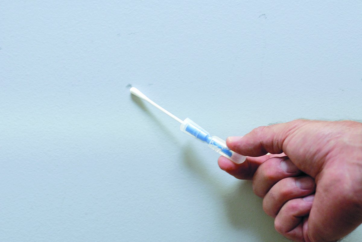 Healthful Home 5-Minute Mold Test