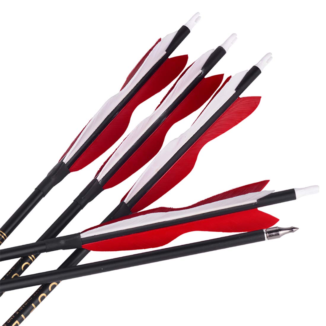 HRCHCG 12pcs 32Inch Carbon Arrow Practice Hunting Arrows Turkey Feather Fletching with Replaceable Tips for Recurve Bow (Red with White)