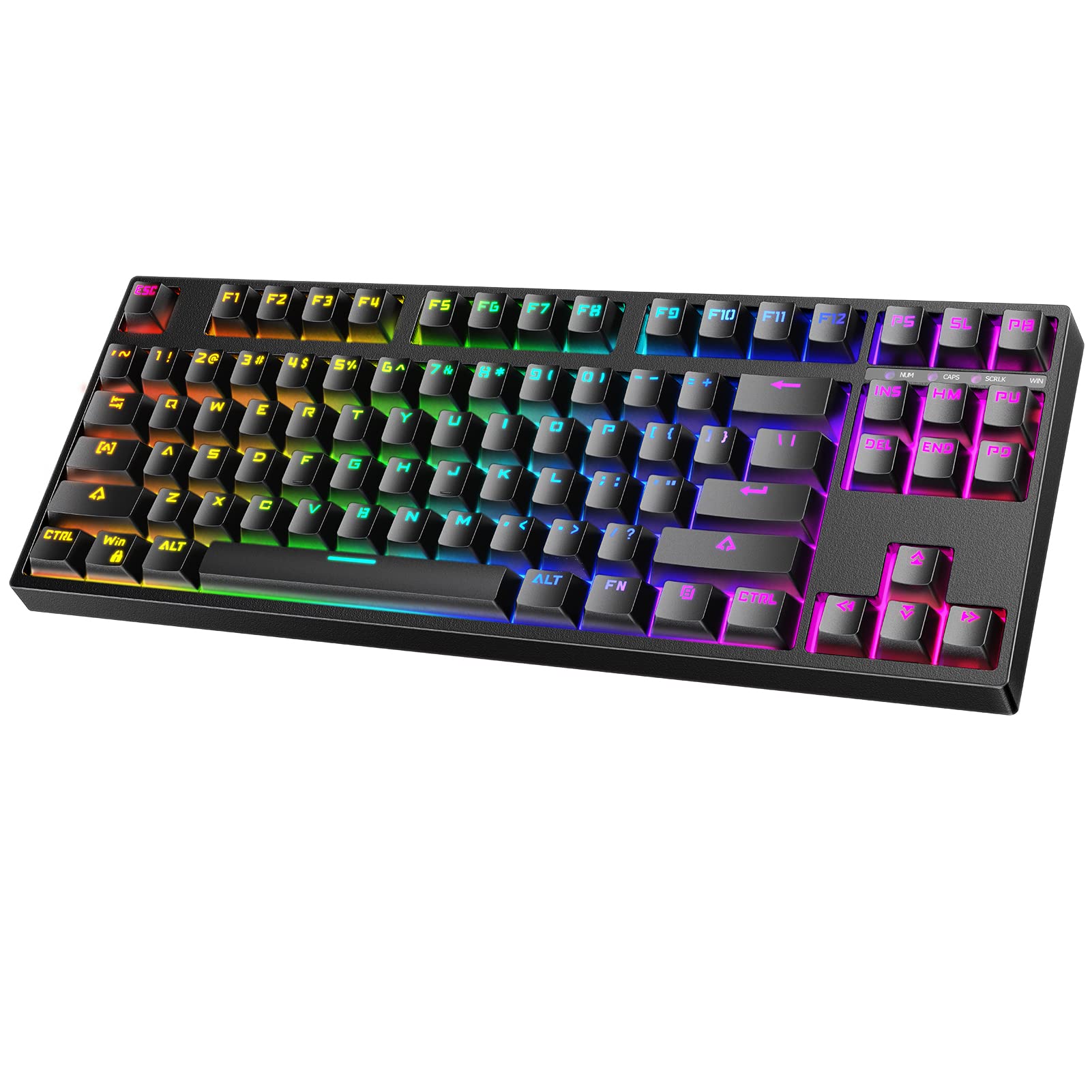 hiwings TKL Mechanical Keyboard, Compact Gaming Keyboard RGB Rainbow Backlit 80% 87 Keys Wired Keyboard with Blue Switches for Windows, Mac with Type C Adapter (Extra OTG) (Black)