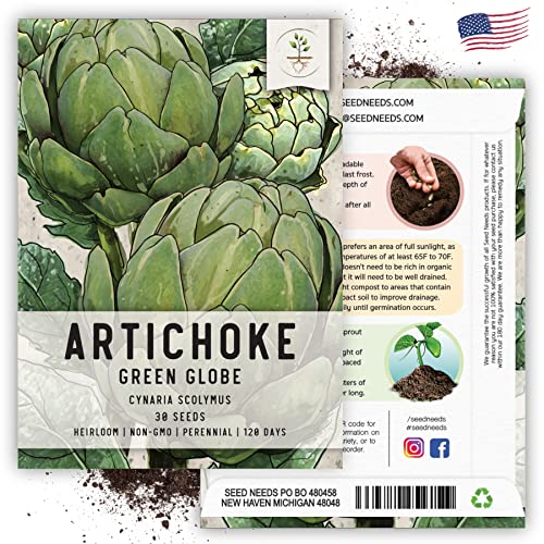 Seed Needs, Green Globe Artichoke Seeds for Planting (Cynaria scolymus) Heirloom, Non-GMO & Untreated (2 Packs)