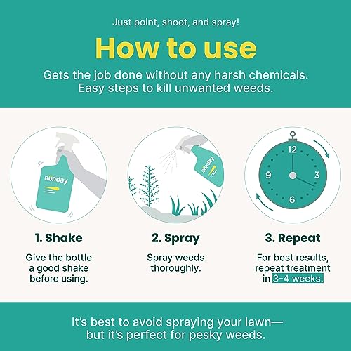 Sunday Weed Warrior, 32oz, 2 Pack - Grass & Weed Killer - Organic, Ready-to-Use Weed Killer Spray - Herbicide Spot Treatment - Kills Weeds, Grass, Algae and Moss