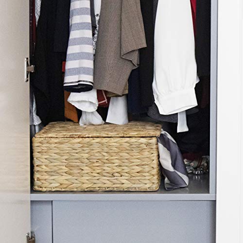 Set of 3 Pack Nesting Storage Baskets with Lids and Insert Handles for Home Organization | Closet Wicker Lidded Baskets for Shelves | Straw Wire Woven Storage Baskets with Lids (Water Hyacinth)
