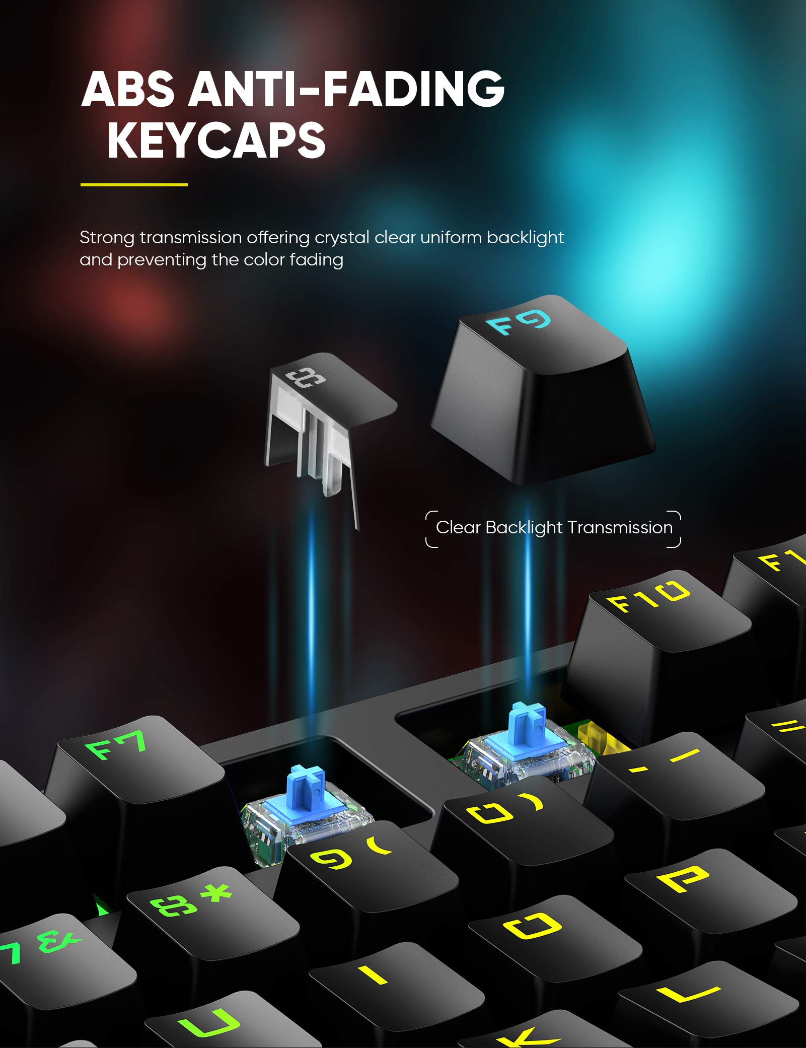 hiwings TKL Mechanical Keyboard, Compact Gaming Keyboard RGB Rainbow Backlit 80% 87 Keys Wired Keyboard with Blue Switches for Windows, Mac with Type C Adapter (Extra OTG) (Black)