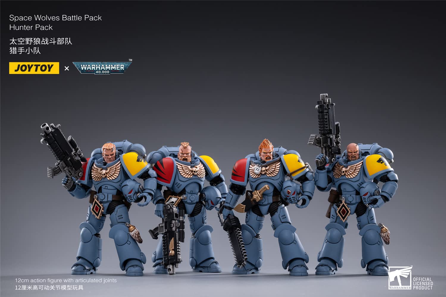HiPlay JoyToy 1/18 Soldier Movable Figure Set of 4 - Space Wolves Hunter Pack