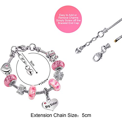 Hicarer Big Sis Gift Shiny Bracelet Crystal Charm Bangle Jewelry Wristband with Gift Box Set for Hers Lady(Pink Butterfly)