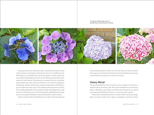 How Plants Work: The Science Behind the Amazing Things Plants Do (Science for Gardeners)