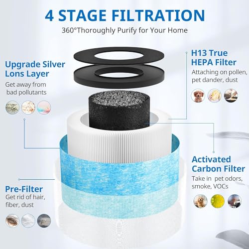 HEPA Replacement Filter Compatible with DH-JH01 Air Puri-fier, 2 Pack