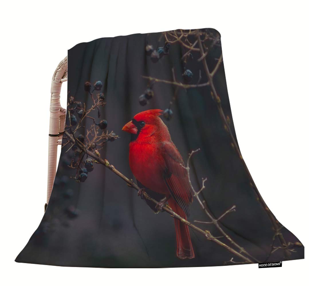 HGOD DESIGNS Red Bird Throw Blanket,Northern Cardinal Bird On The Tree Branch Soft Warm Decorative Throw Blanket for Bed Chair Couch Sofa 30"X40"