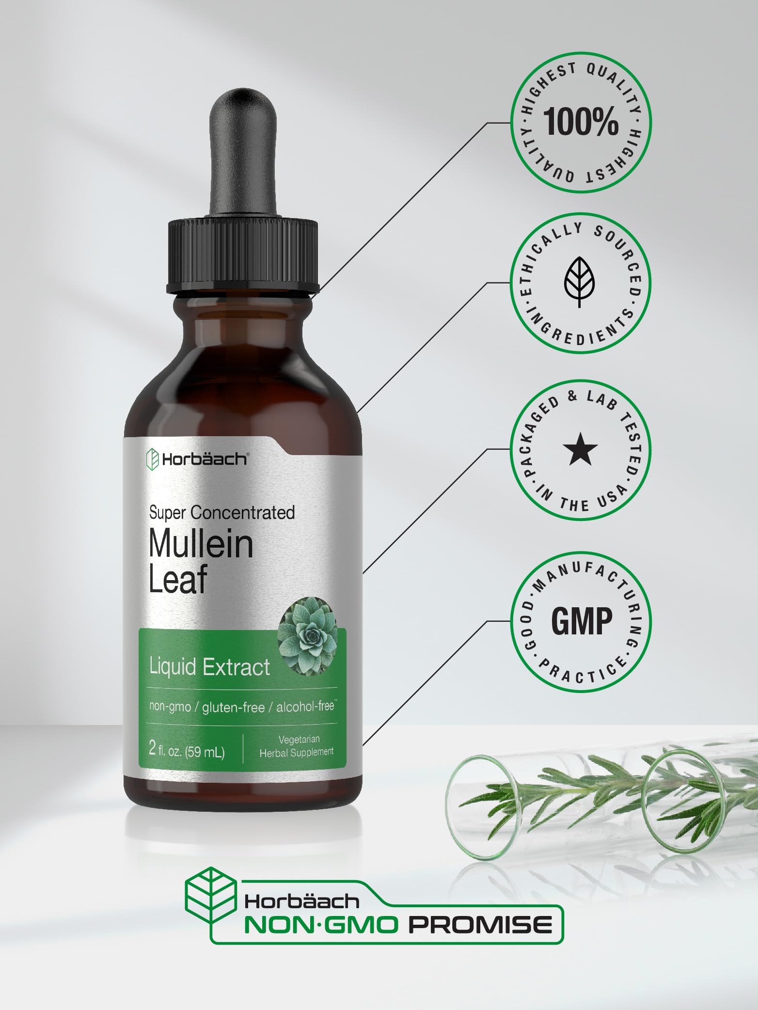 Horbäach Mullein Leaf Tincture Drops | 2 fl oz | Alcohol Free Liquid Extract | Vegetarian, Non-GMO & Gluten Free Herbal Supplement