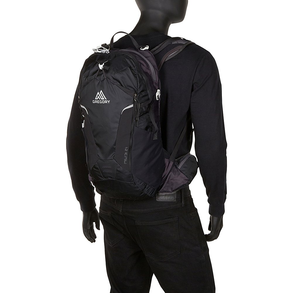 Gregory Mountain Products Miwok 24 Liter Men's Daypack, Reflex Blue