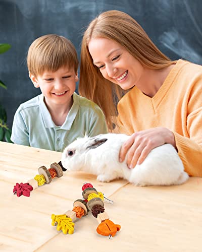 Xylolfsty Fall Themed Chew Toys for Rabbit Dwarf Hamster Bunny Guinea Pig Chinchilla Gerbil Pet Rat Small Animals Cage Hanging Teeth Grinding Accessories Autumn Thanksgiving Gifts 3PCS