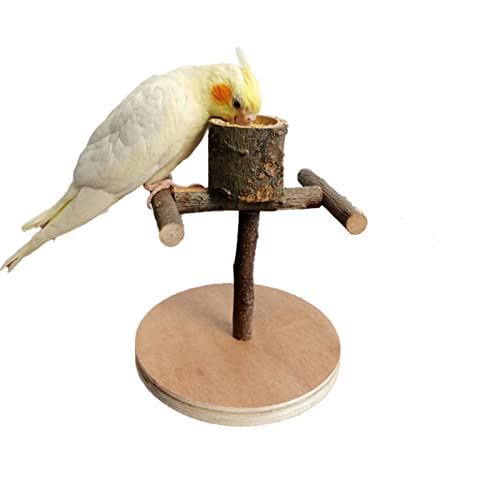 XLpeixin Bird Playground Parrot Playstand Birds Play Stand Wood Exercise Perch Gym Stand Hanging Swing Toys for Small Medium Parakeets Canaries Cockatiels Lovebirds and Moreā¦