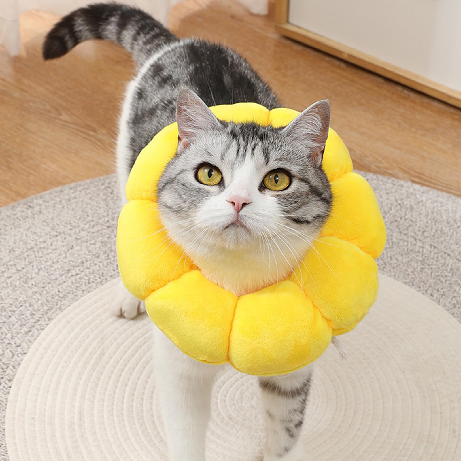 XINAJUND AntiBiting Injury Flower Elizabethan Collar for Cats Dog Soft Collar Pet Wound Recovery Licking Supply