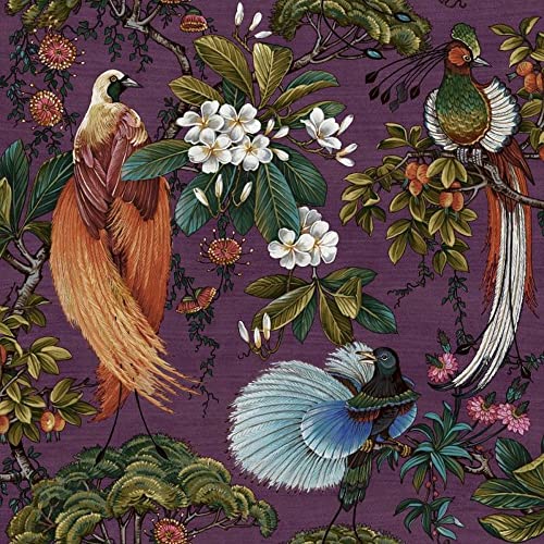 Holden Outside in Songbird Bird Theme Oriental Tropical Wallpaper Feature Wall Bedroom Livingroom Plum Deep Purple 13150