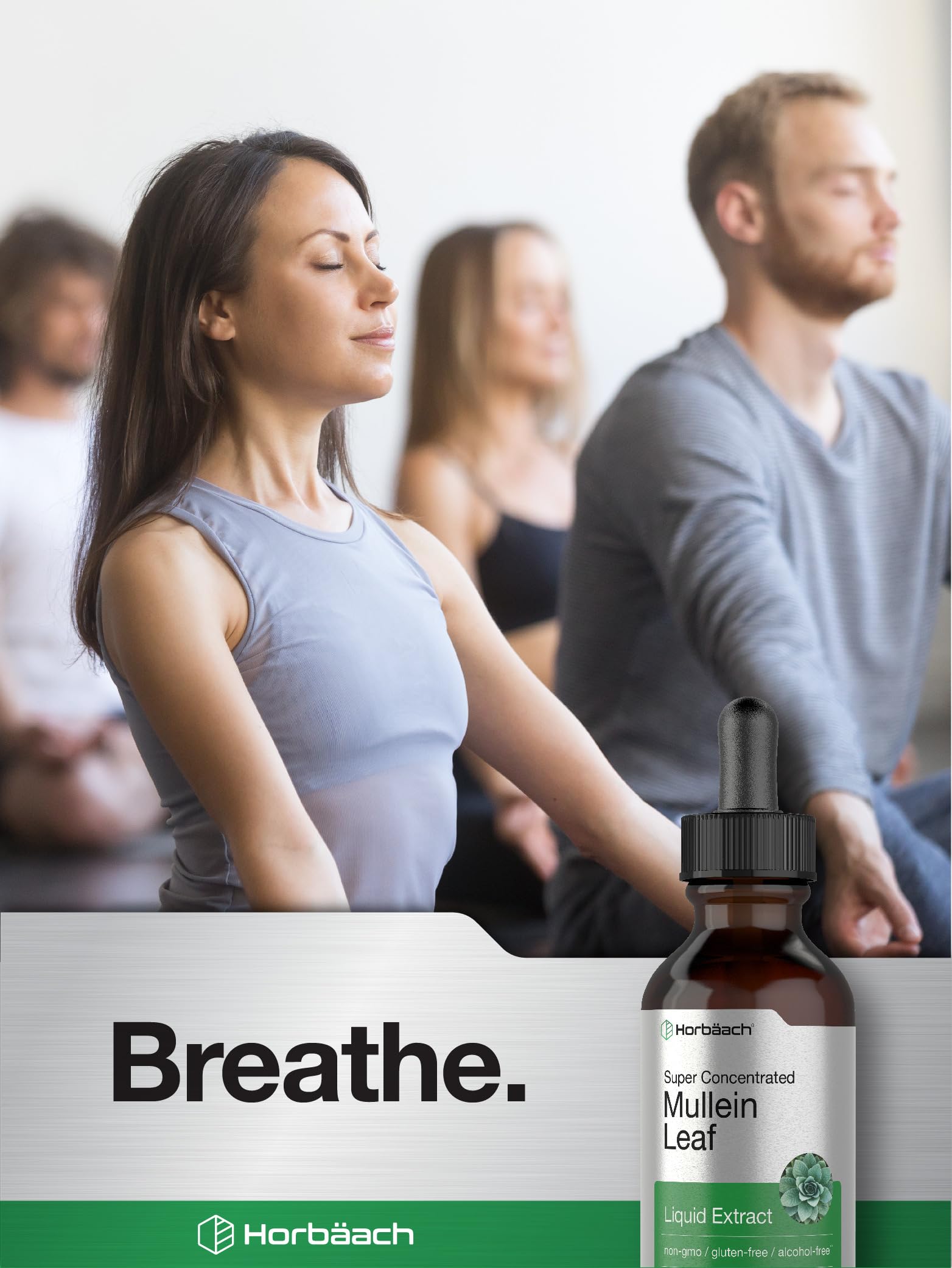 Horbäach Mullein Leaf Tincture Drops | 2 fl oz | Alcohol Free Liquid Extract | Vegetarian, Non-GMO & Gluten Free Herbal Supplement