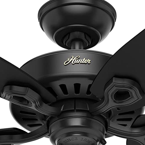 Hunter Fan Company 53294 Builder Elite Versatile Indoor/Outdoor 52 Inch Ceiling Fan without Light Fixture, Matte Black, 52"