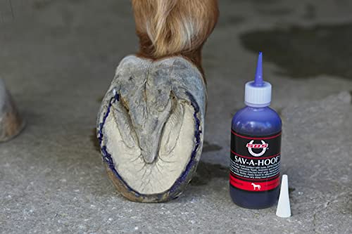 SAV-A-HOOF Gel II by SBS Equine, Hoof Treatment, Long - Lasting Time Release Formula, No Messy Waste or Run-Off (4 oz)