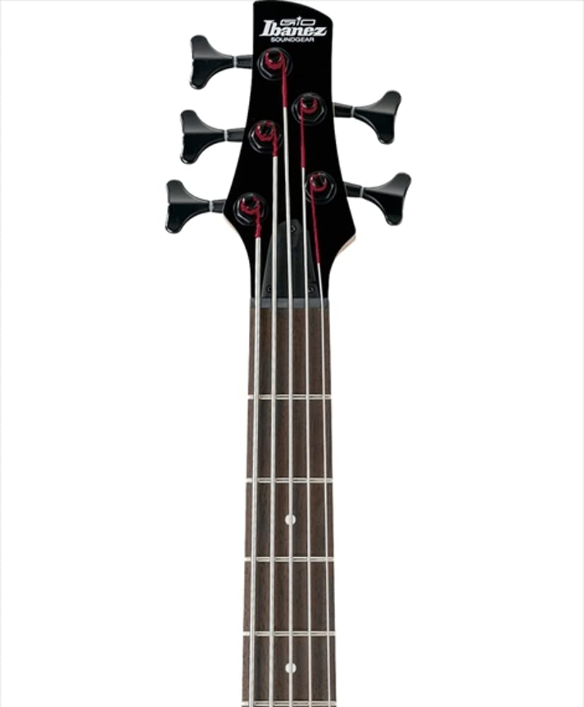Ibanez 5 String Bass Guitar, Right, Walnut (GSR205BWNF)