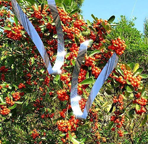 Reflective Scare Tape, 1.9β by 350ft Double Sided Tape to Keep Away Birds, Pigeons, Crows, Woodpecker, and More