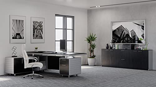 Zuri Furniture Reagan Modern Polished Cabinet Credenza - Black