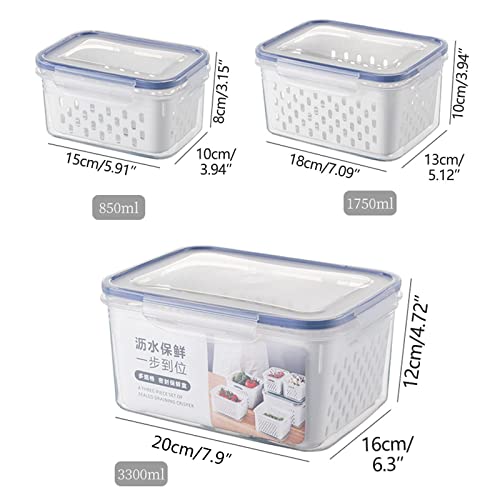Yiser Double Layer Draining Basket Fresh Keeping Box Kitchen Supplies Sealed Box Plastic Fresh Keeping Box Refrigerator Fruit Storage Sticky Rice Basket (C, One Size)